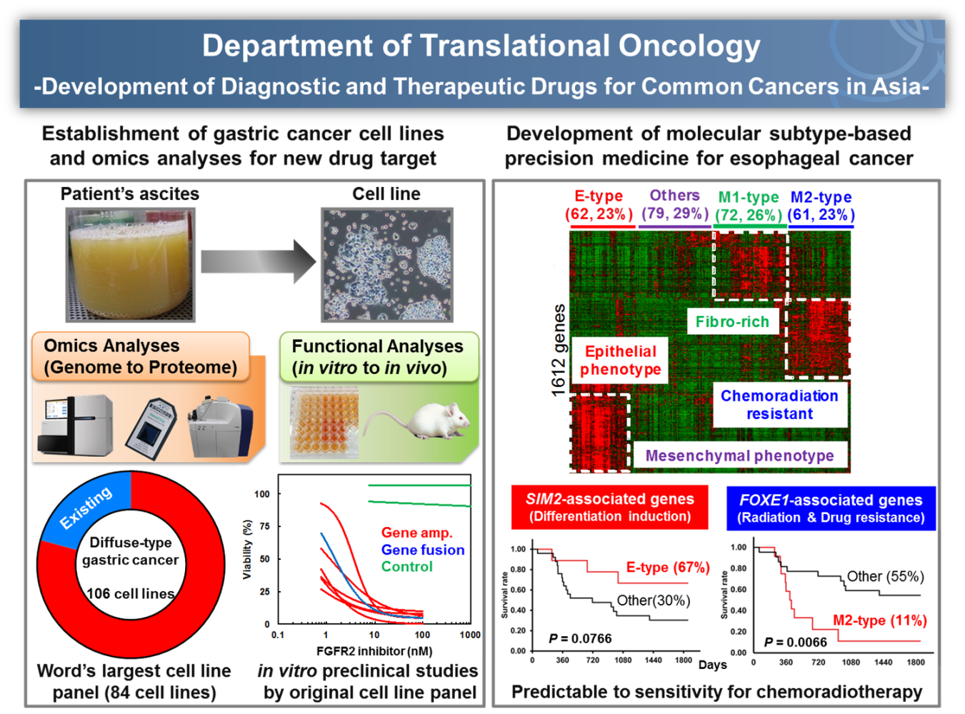 Department of Translational Oncology | National Cancer Center Research ...
