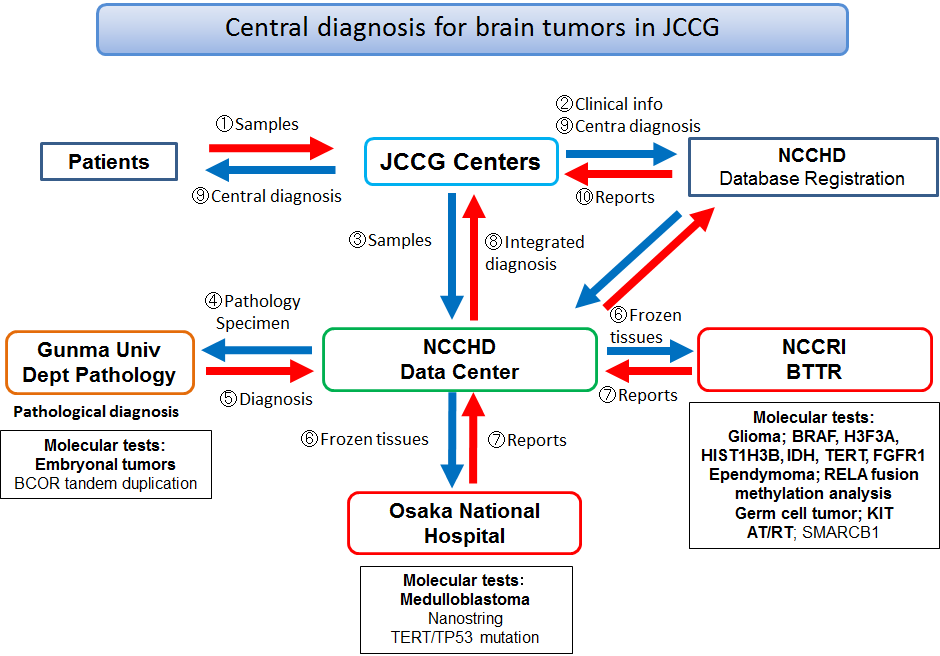 Research Projects | National Cancer Center Reseach Institute