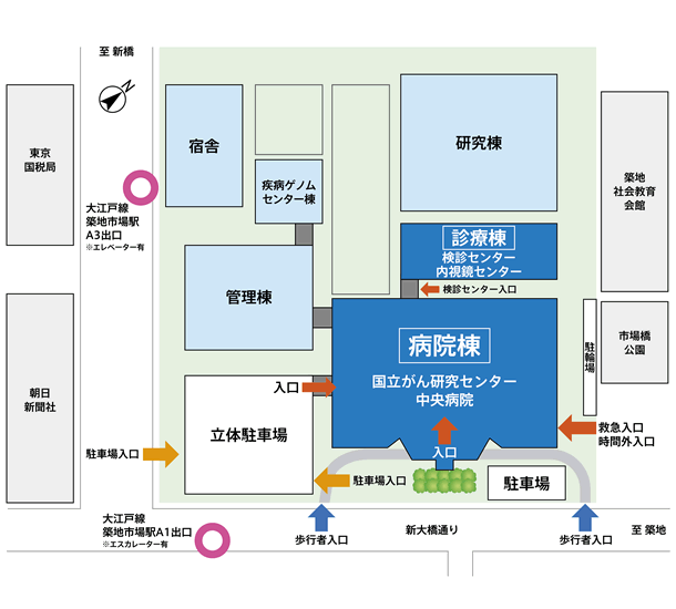 交通案内 | 国立がん研究センター 中央病院